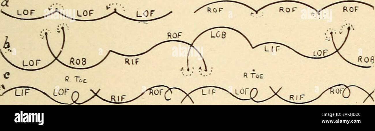 Toesa hi-res stock photography and images - Alamy