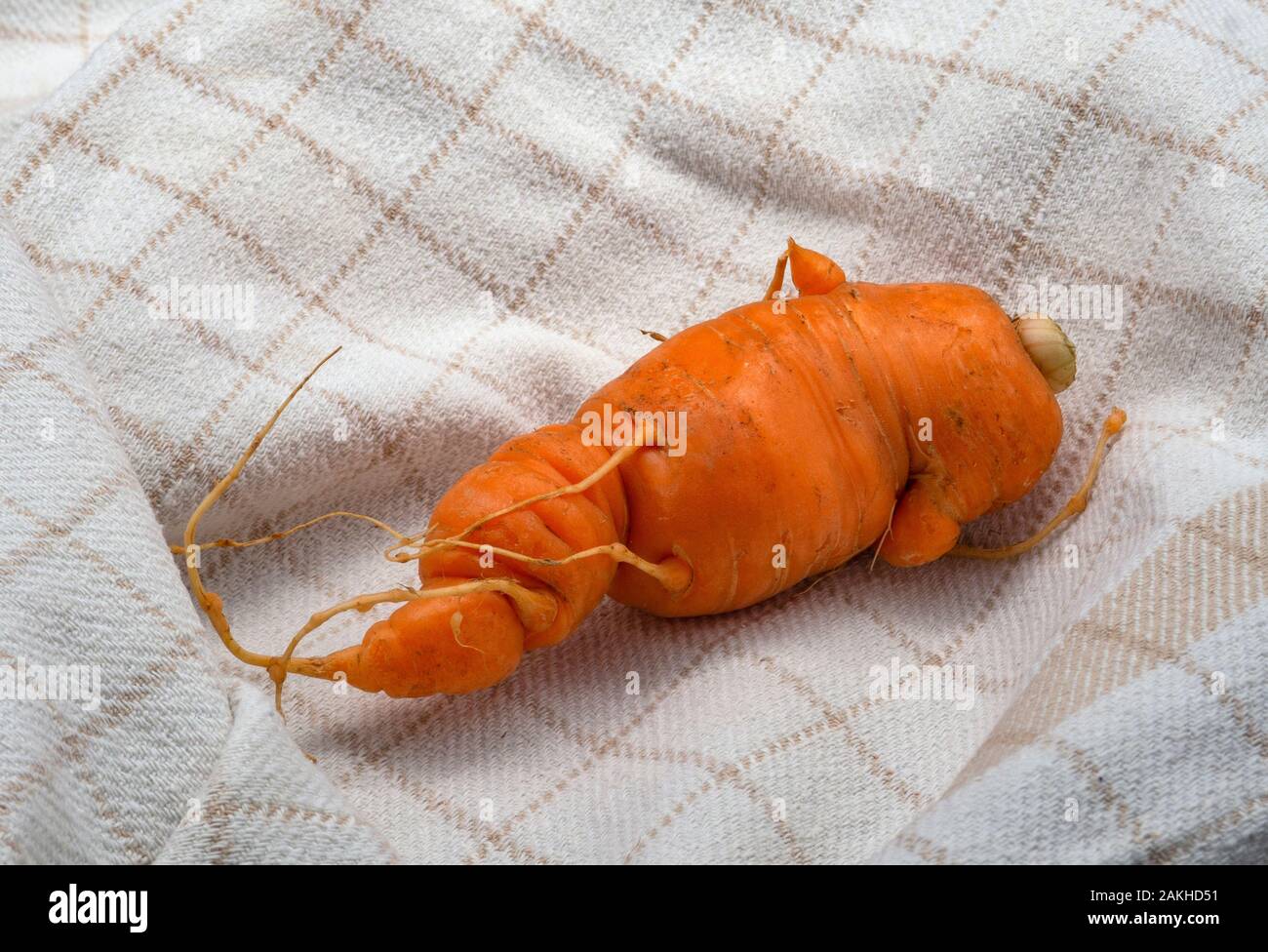 Deformed carrot hi-res stock photography and images - Alamy
