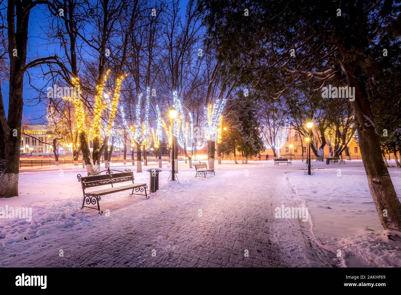 Winter Snow Night Street Light Path Trees Bench Christmas Snow Trees