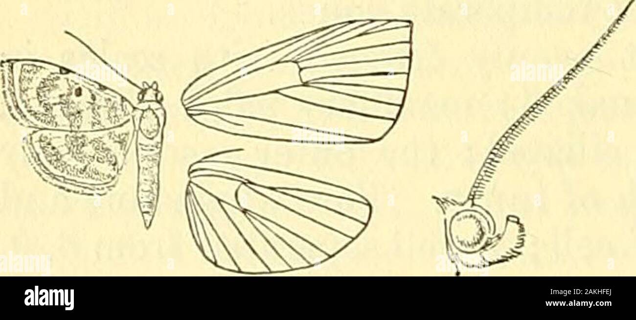 Costal areas hi-res stock photography and images - Alamy
