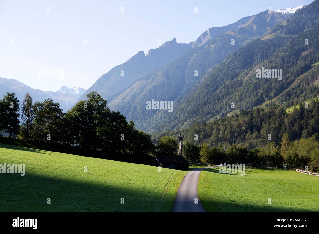 Fir trees in the alpine valley hi-res stock photography and images - Alamy