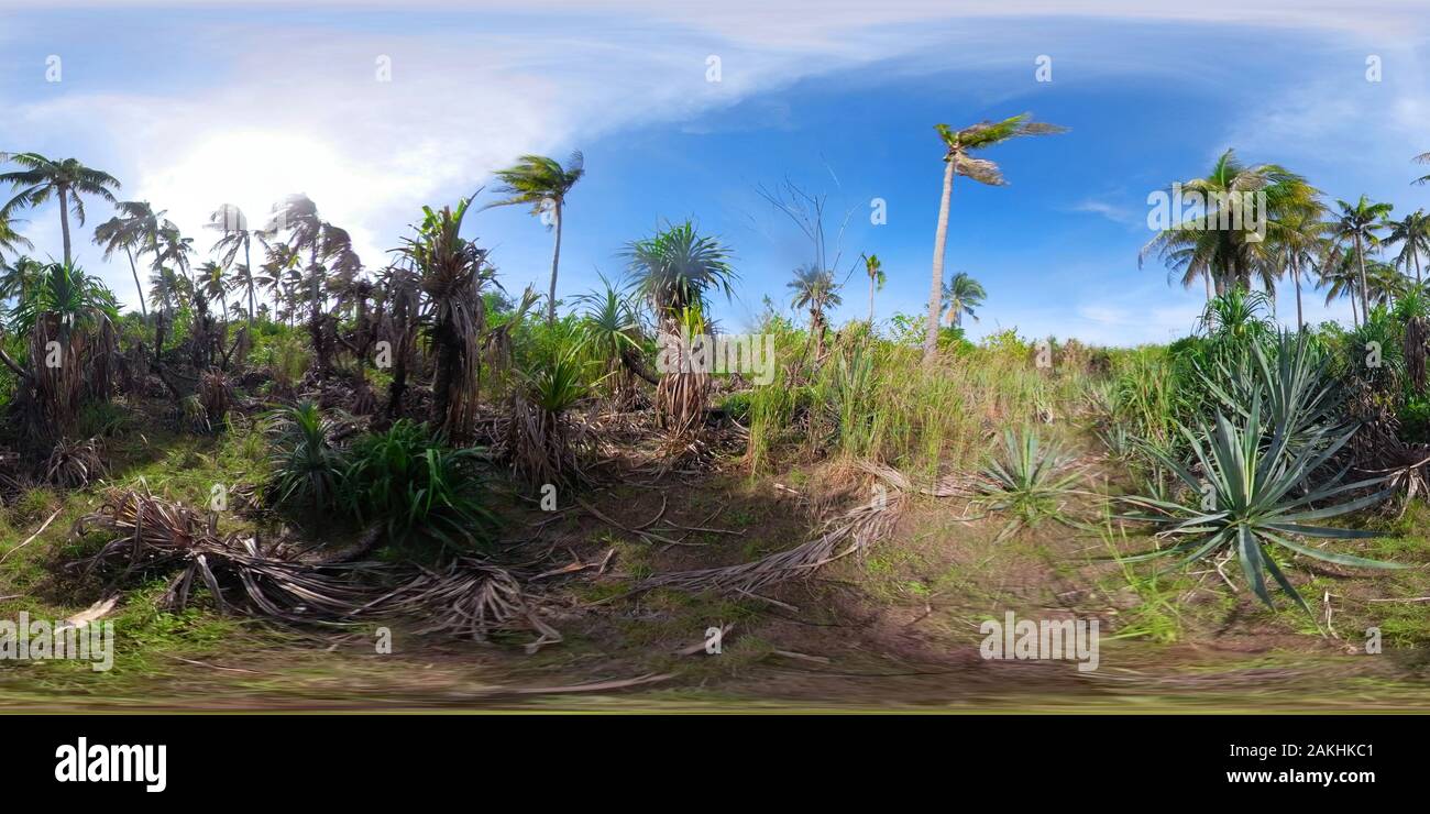 360 Jungle High Resolution Stock Photography and Images - Alamy