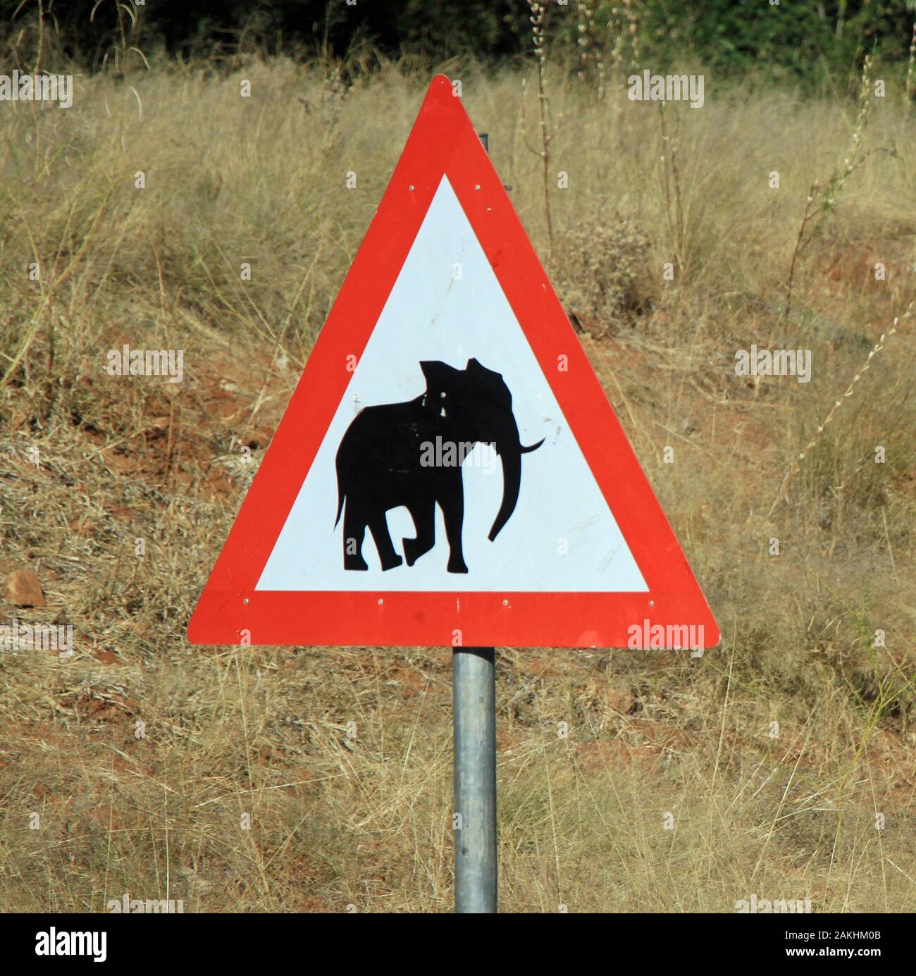 Ngoma botswana hi-res stock photography and images - Alamy