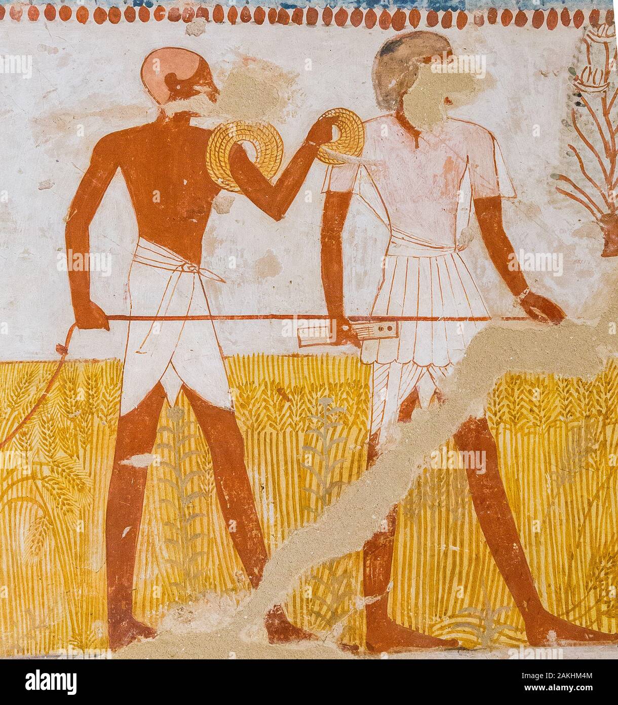 UNESCO World Heritage, Thebes in Egypt, Valley of the Nobles, tomb of ...