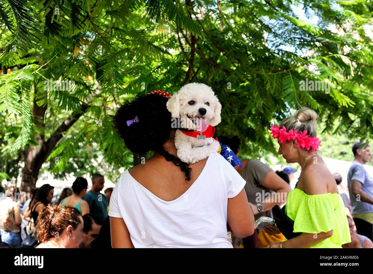 Rio carnival brazil join hi-res stock photography and images - Alamy
