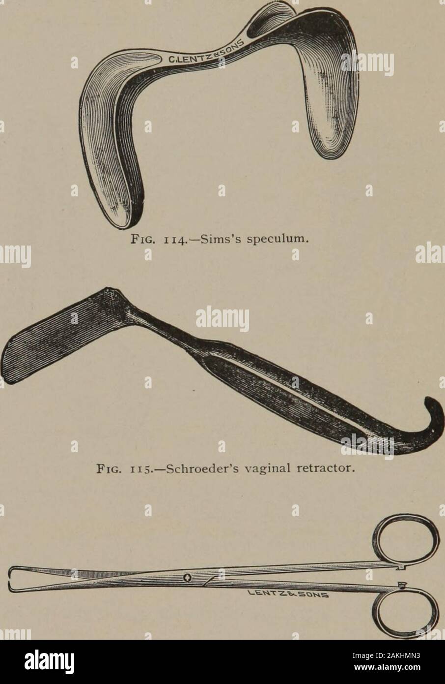 Fig 113 hi-res stock photography and images - Alamy