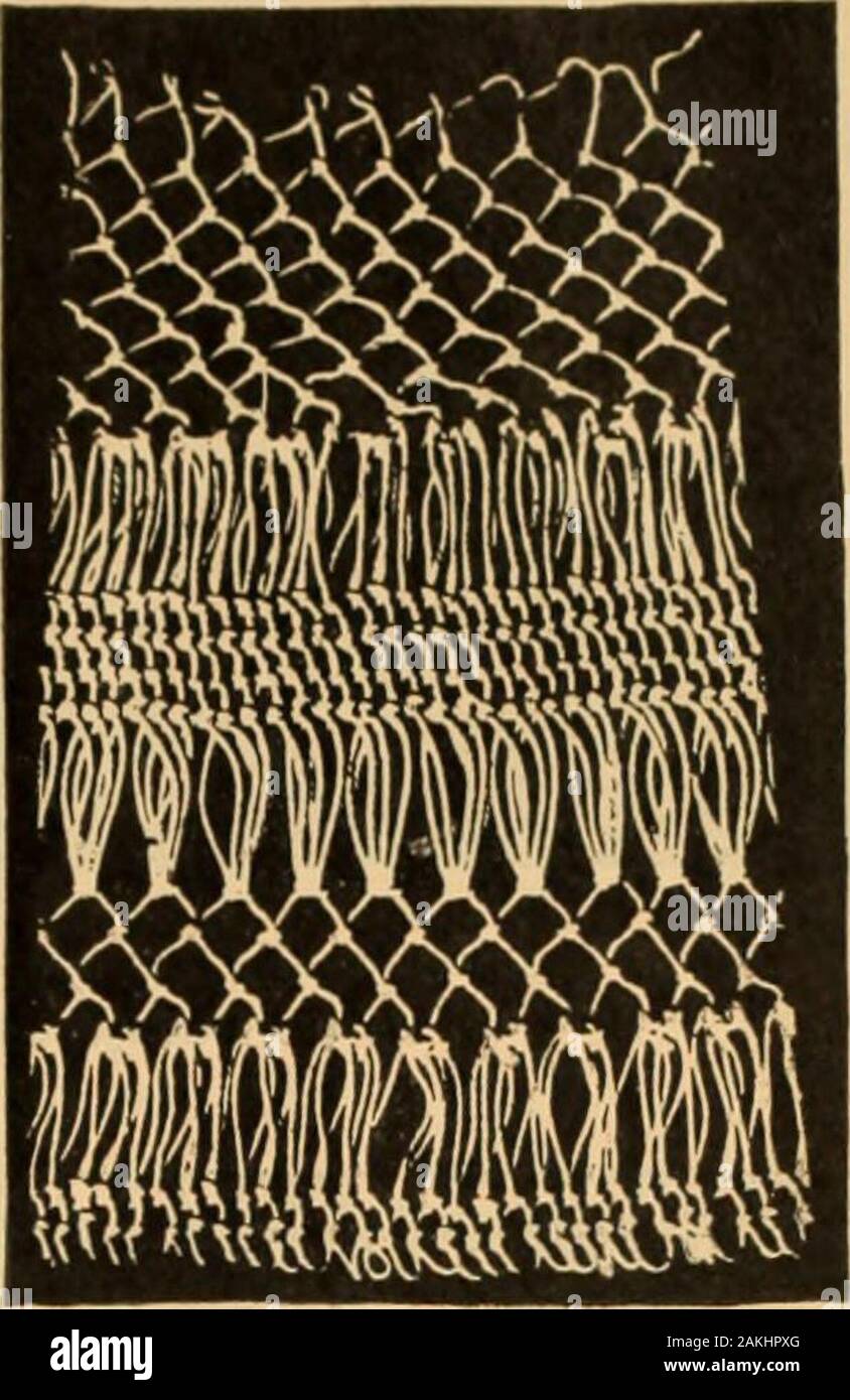 Chain loop mesh stitch hi-res stock photography and images - Alamy