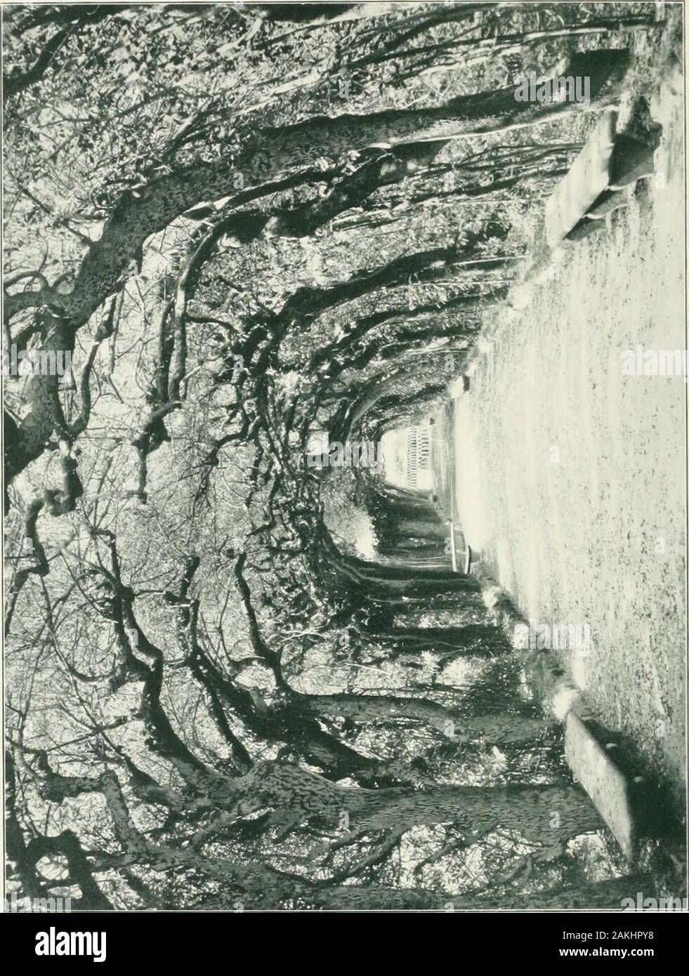 Arched recess hi-res stock photography and images - Alamy