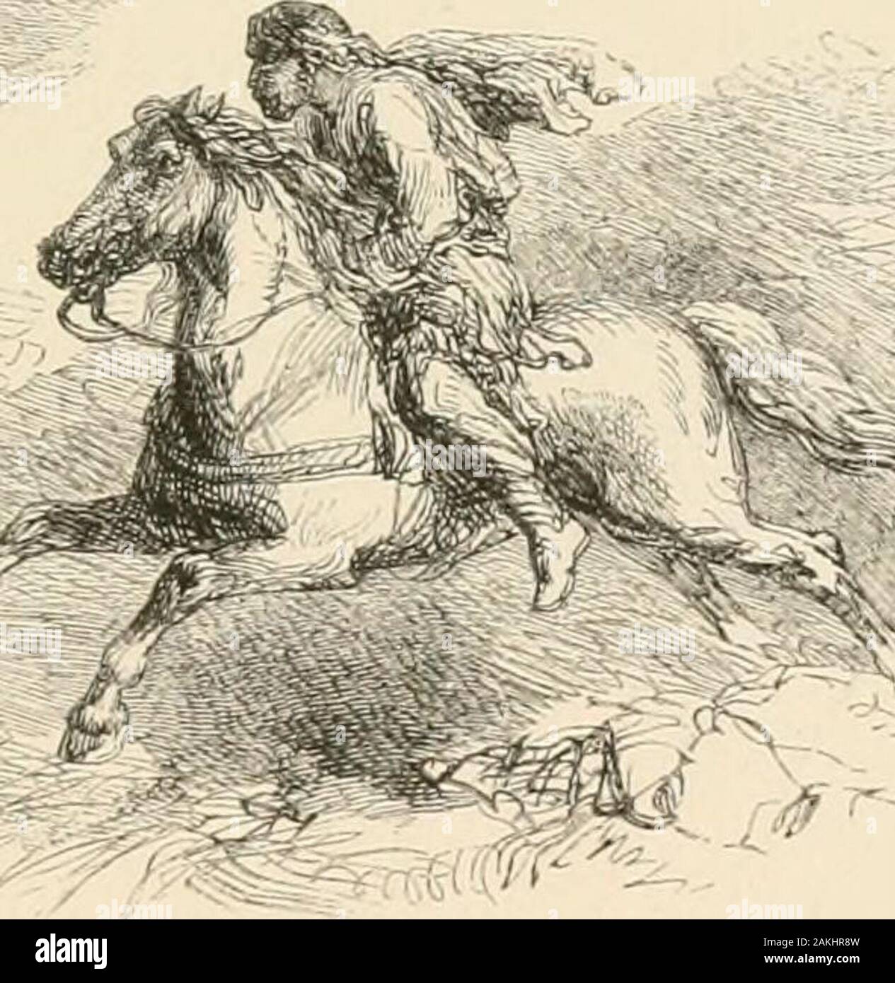 Strung bugle hi-res stock photography and images - Alamy