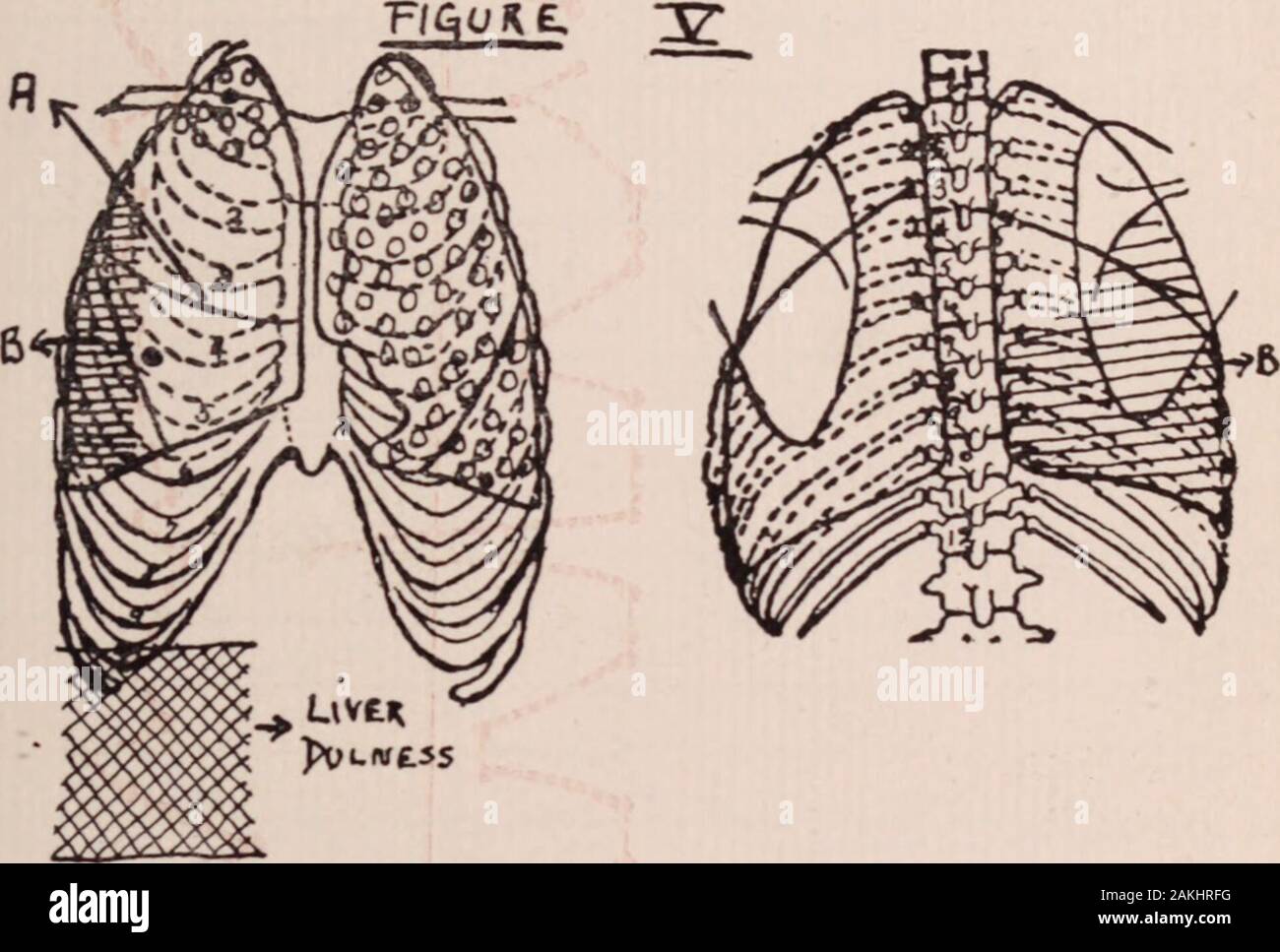 Hearts 89 hi-res stock photography and images - Alamy