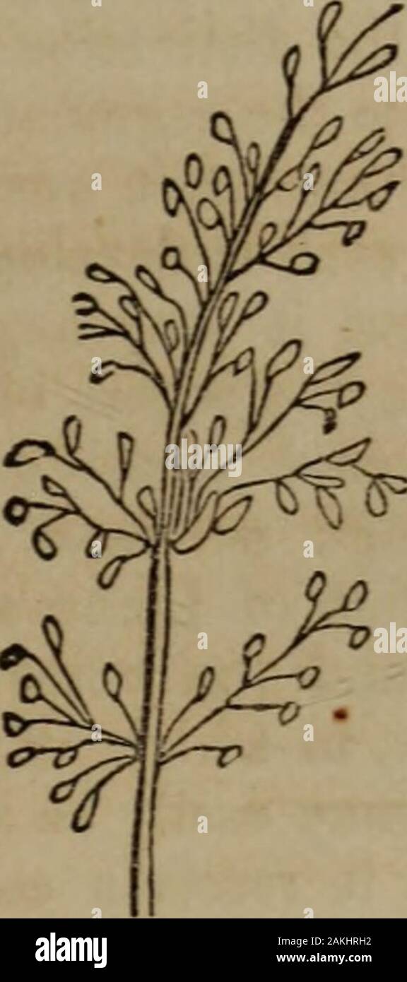 Secondary divisions hi-res stock photography and images - Alamy