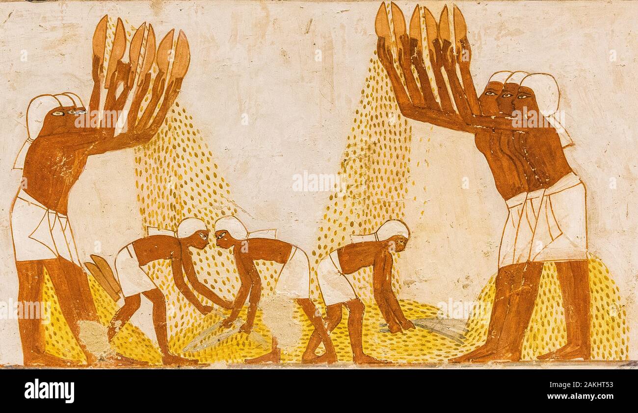 Tomb of menna grain hi-res stock photography and images - Alamy