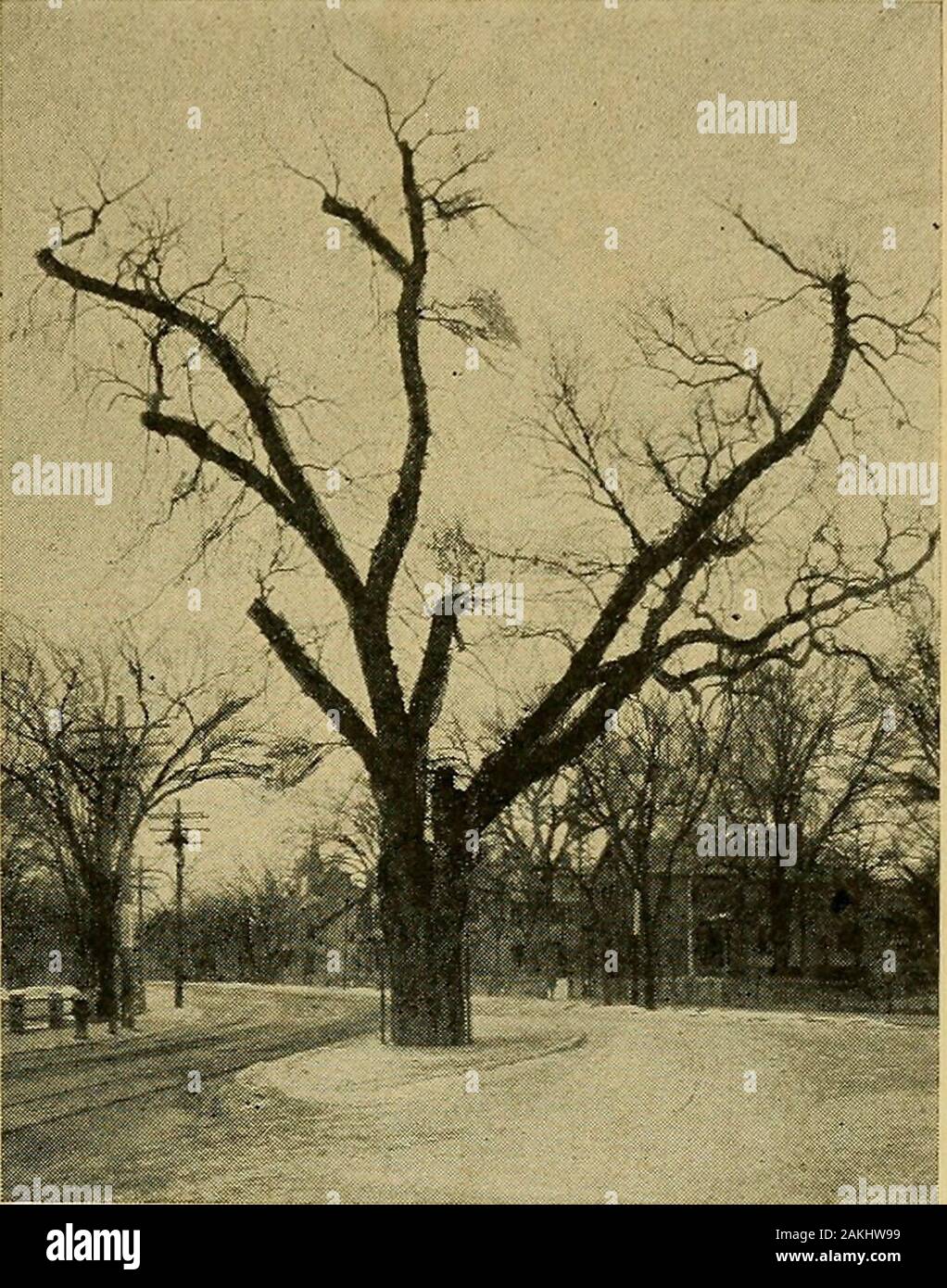 Printer stephen daye hi-res stock photography and images - Alamy