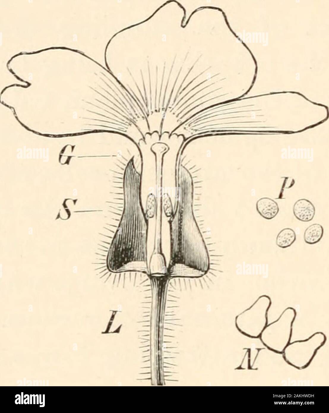 Ratio of means hi-res stock photography and images - Alamy