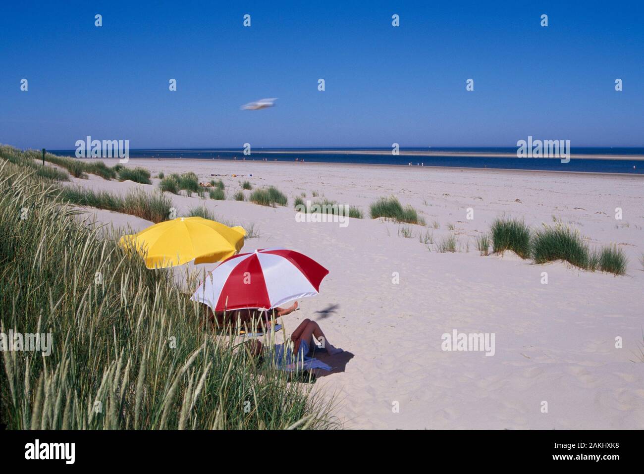 Dunes, North Sea islands, Lower Saxony, Germany Stock Photo - Alamy