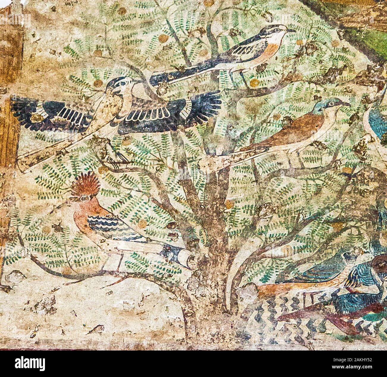 Middle Egypt, Beni Hasan, the tomb of Khnumhotep II dates from the ...