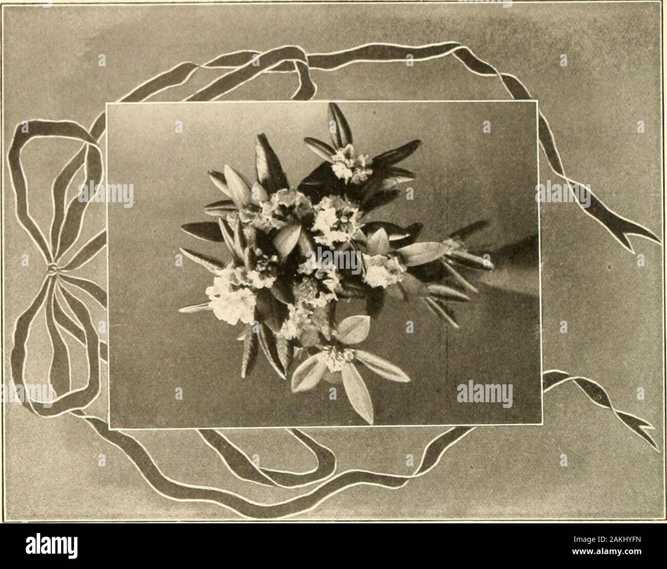 An illustrated history of Skagit and Snohomish Counties; their people ...