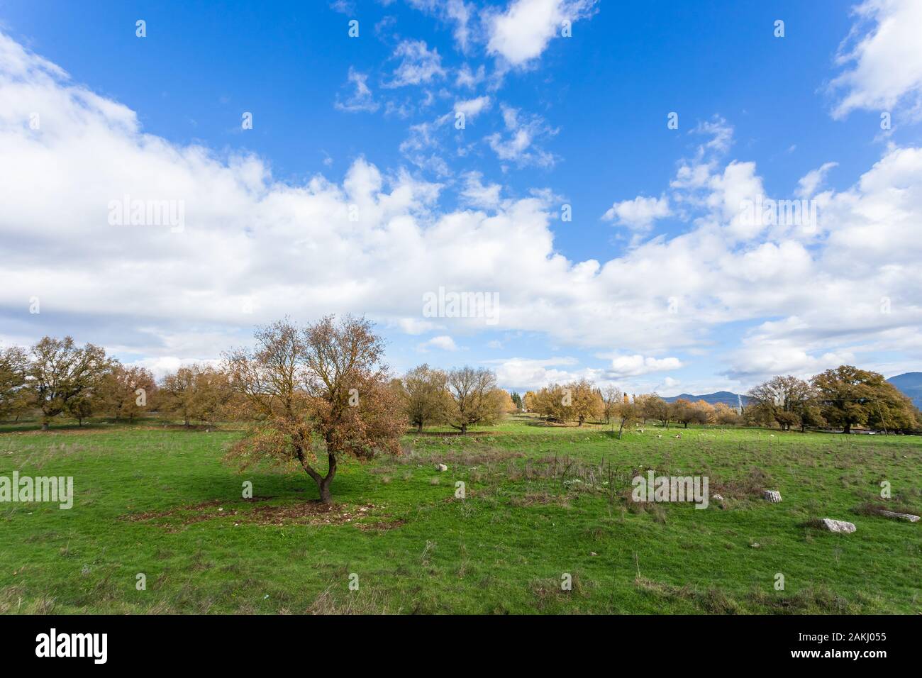 Beautiful landscape fields near Megalopolis, Arcadia Greece Stock Photo ...