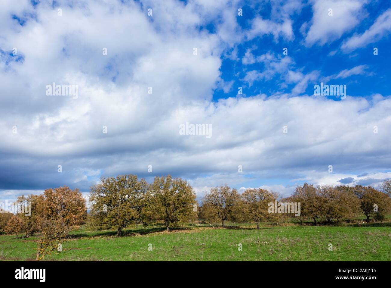 Beautiful landscape fields near Megalopolis, Arcadia Greece Stock Photo ...