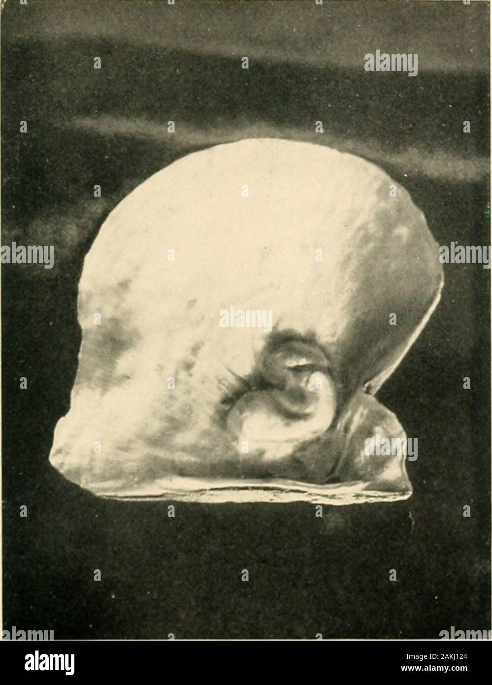 Eter story hi-res stock photography and images - Alamy