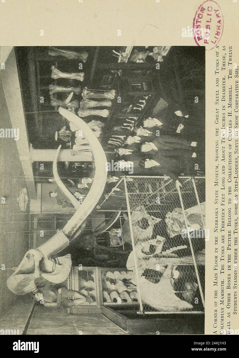 The Morrills and reminiscences . roll, of the troopsemployed in His ...