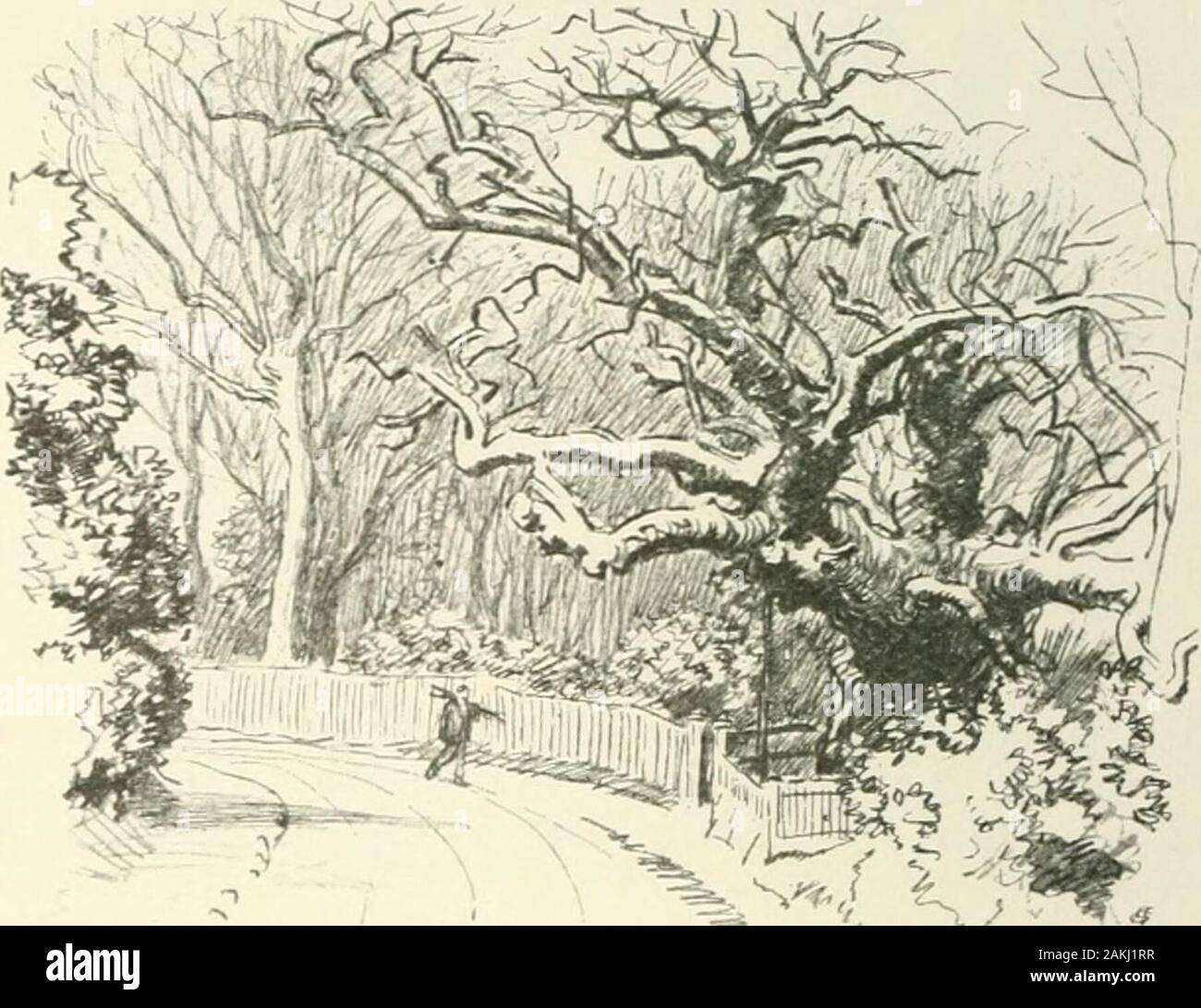 Anna crouch hi-res stock photography and images - Alamy