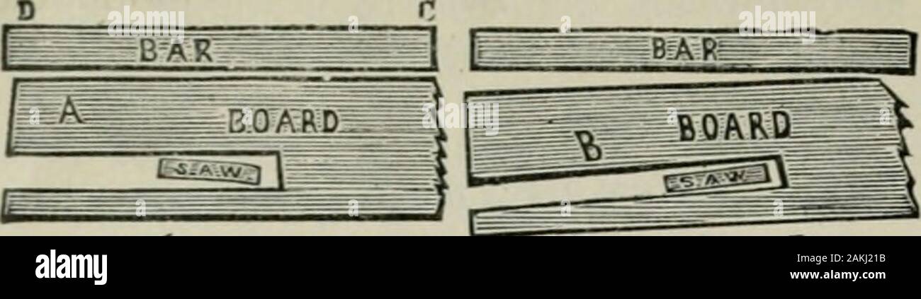 Apiary diagram hi-res stock photography and images - Alamy