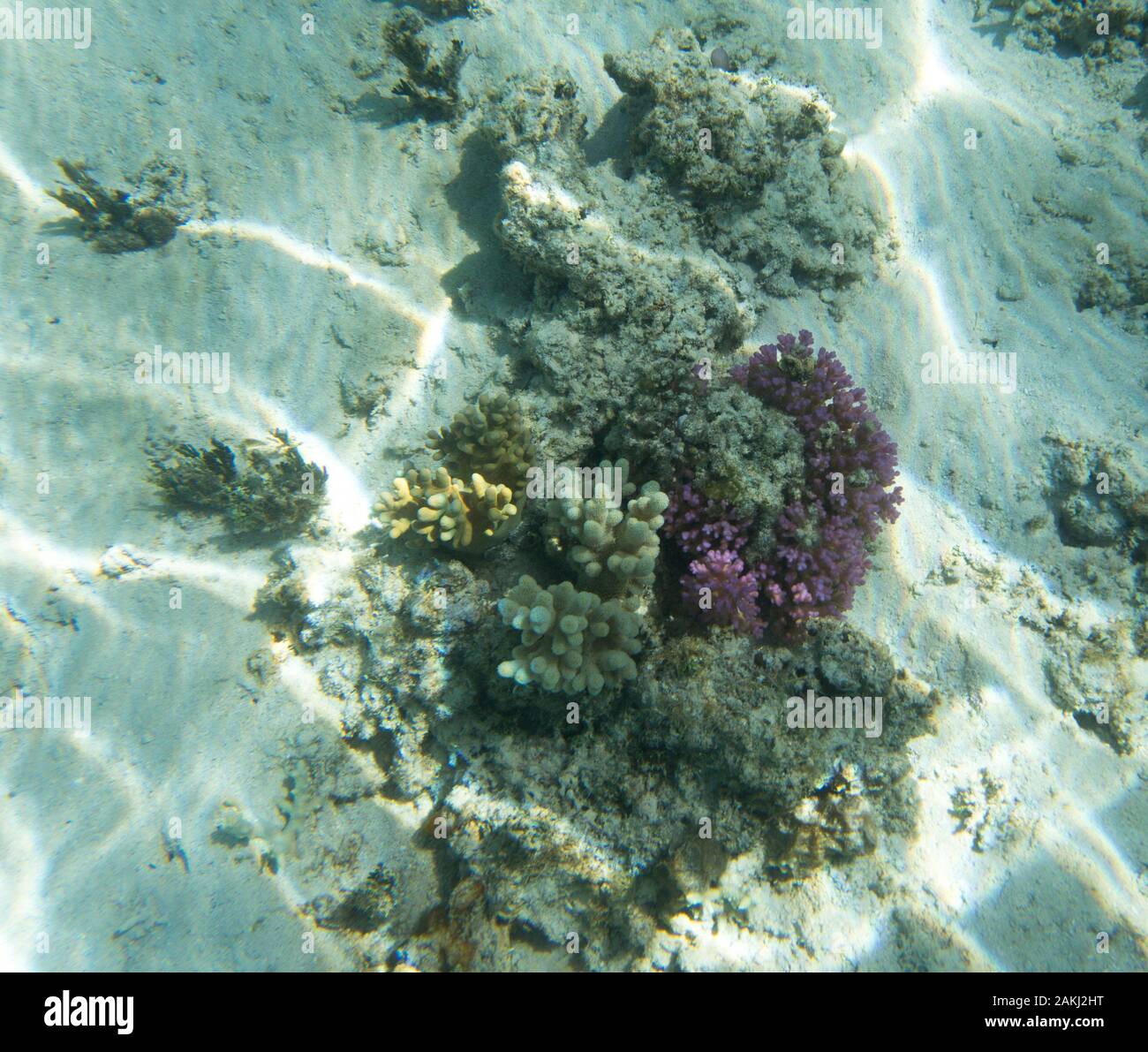 View of beautiful lagoon of New Caledonia Stock Photo - Alamy