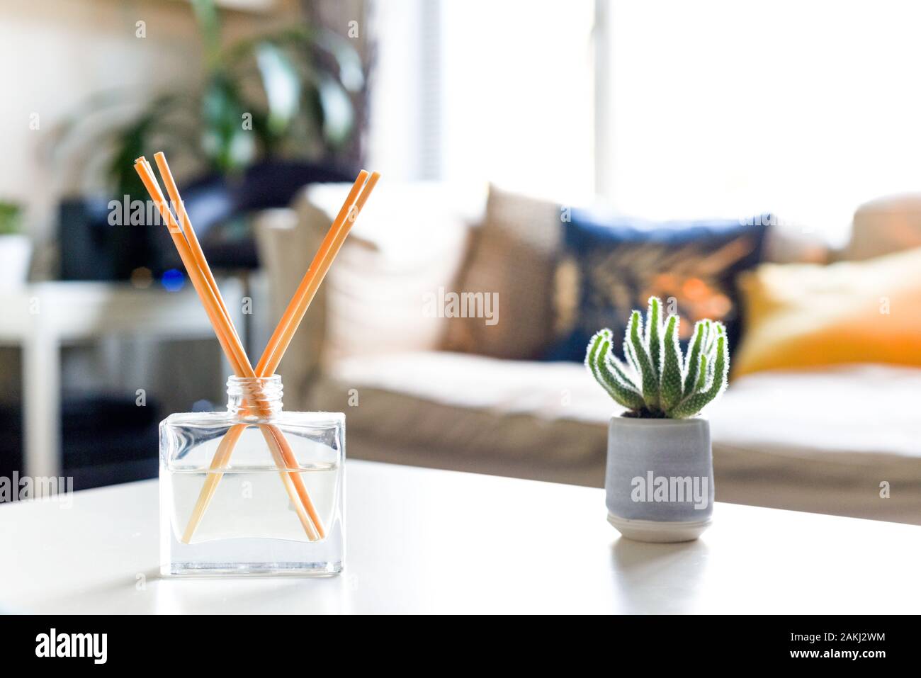Reed diffuser to fragrance home interior on the coffee table of a light ...