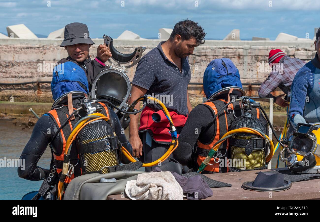 Hermanus, Western cape, South Africa. December 2019. Professional ...