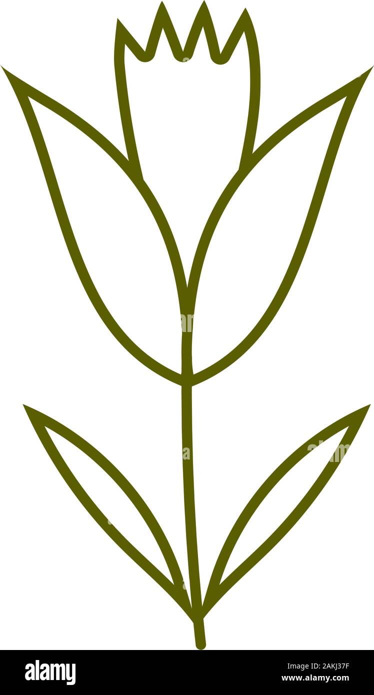 flower stem botany nature plant line style vector illustration Stock ...