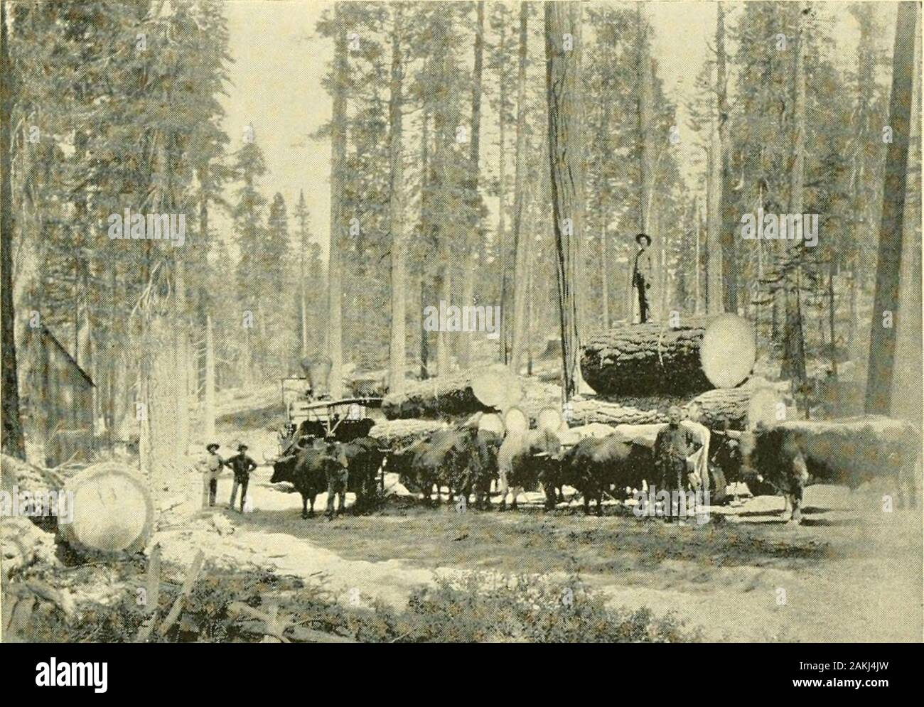 California mines and minerals . A Flume of the Tuolumne Water Co ...