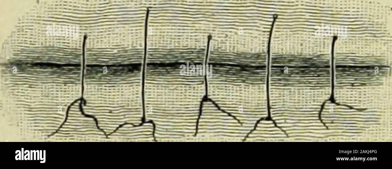 Stitch principles hi-res stock photography and images - Alamy