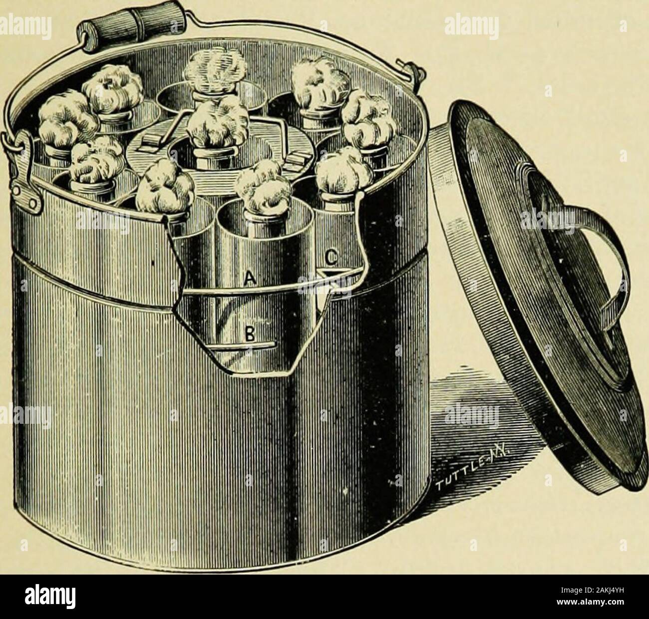 Putrefactive bacteria hi-res stock photography and images - Alamy