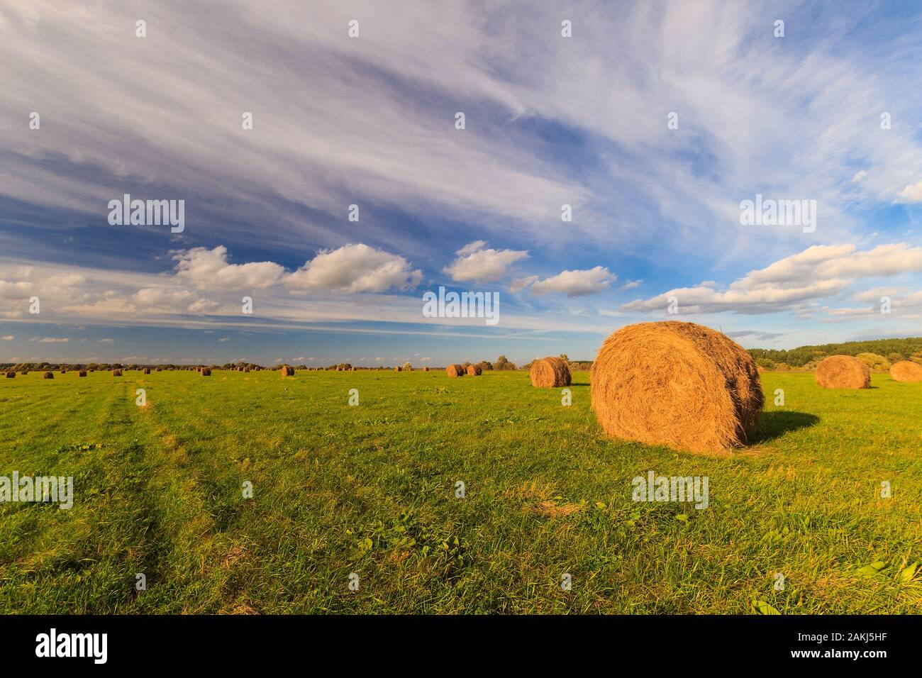 field with haystacks at sunset in early autumn evening Stock Photo - Alamy