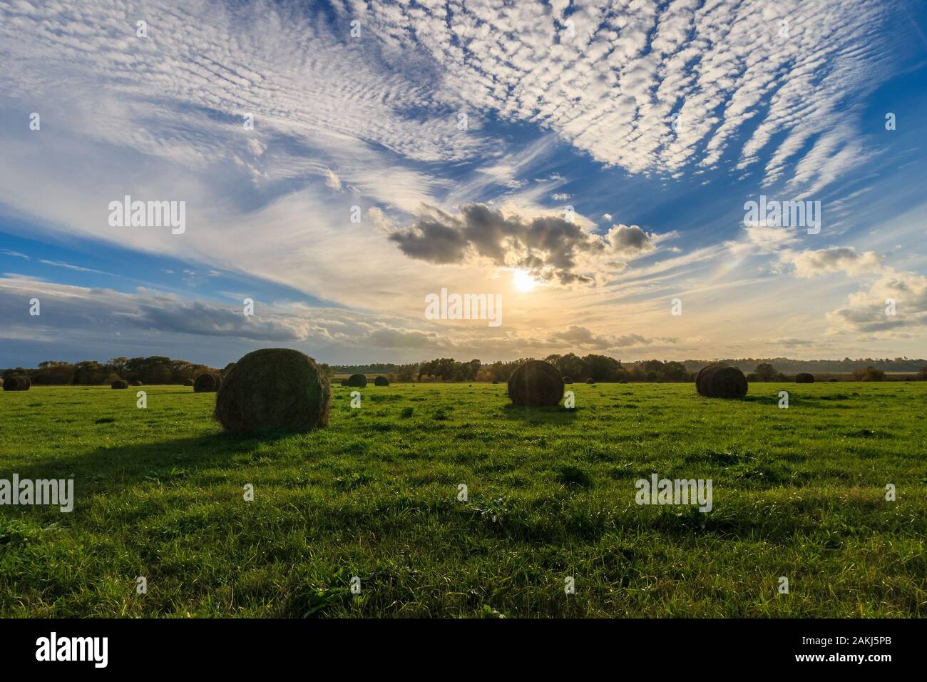 field with haystacks at sunset in early autumn evening Stock Photo - Alamy