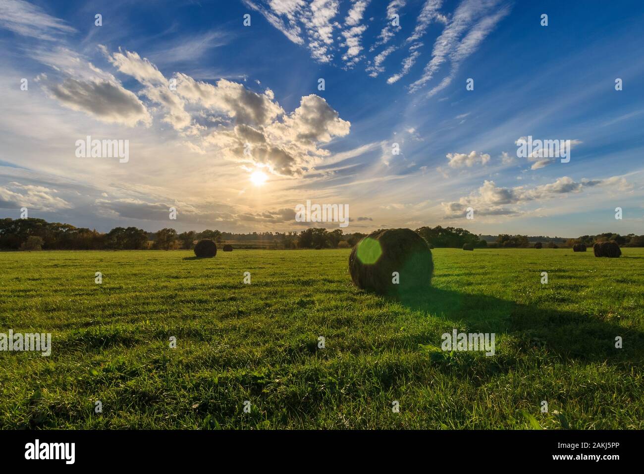 field with haystacks at sunset in early autumn evening Stock Photo - Alamy