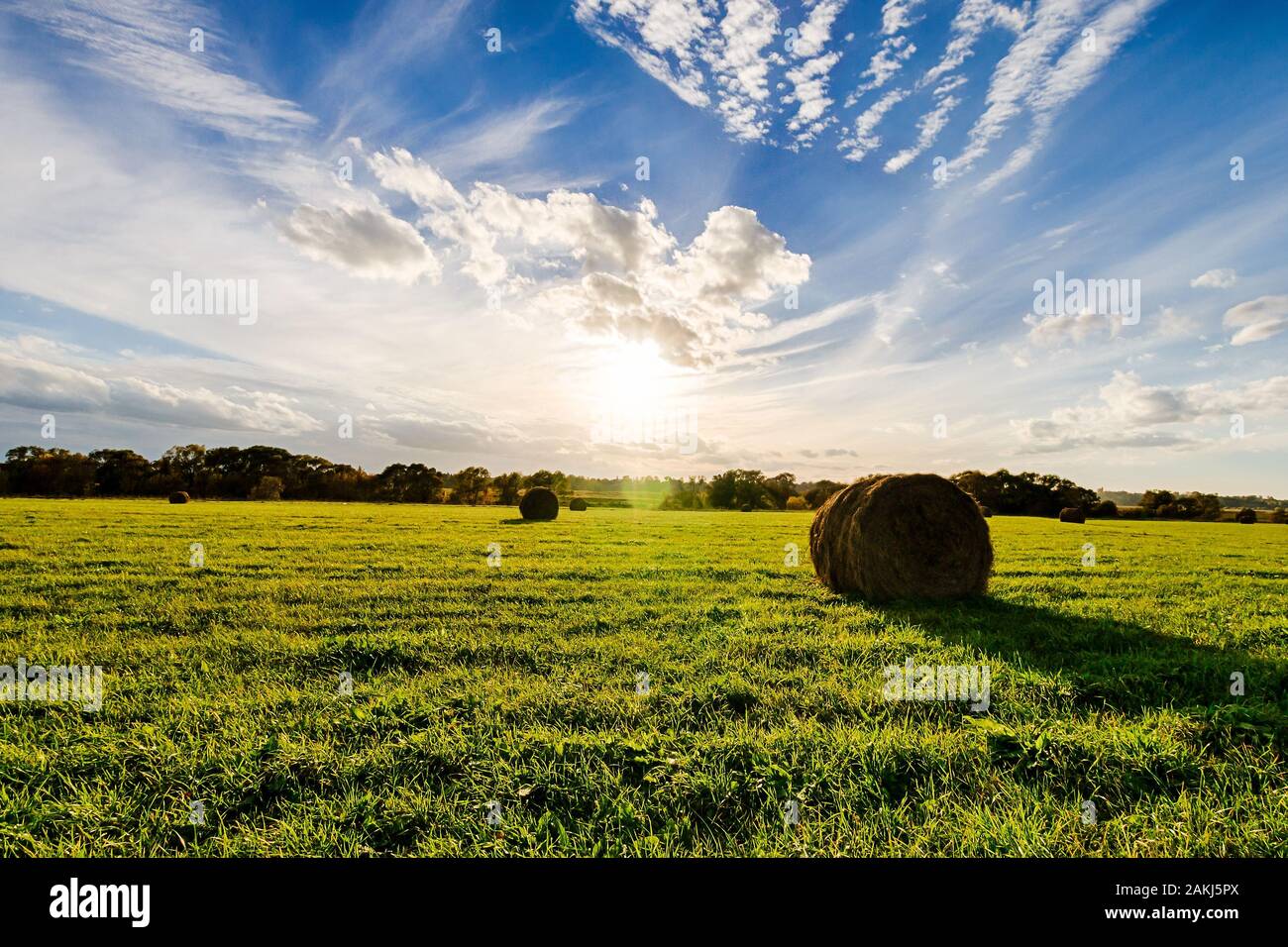 field with haystacks at sunset in early autumn evening Stock Photo - Alamy