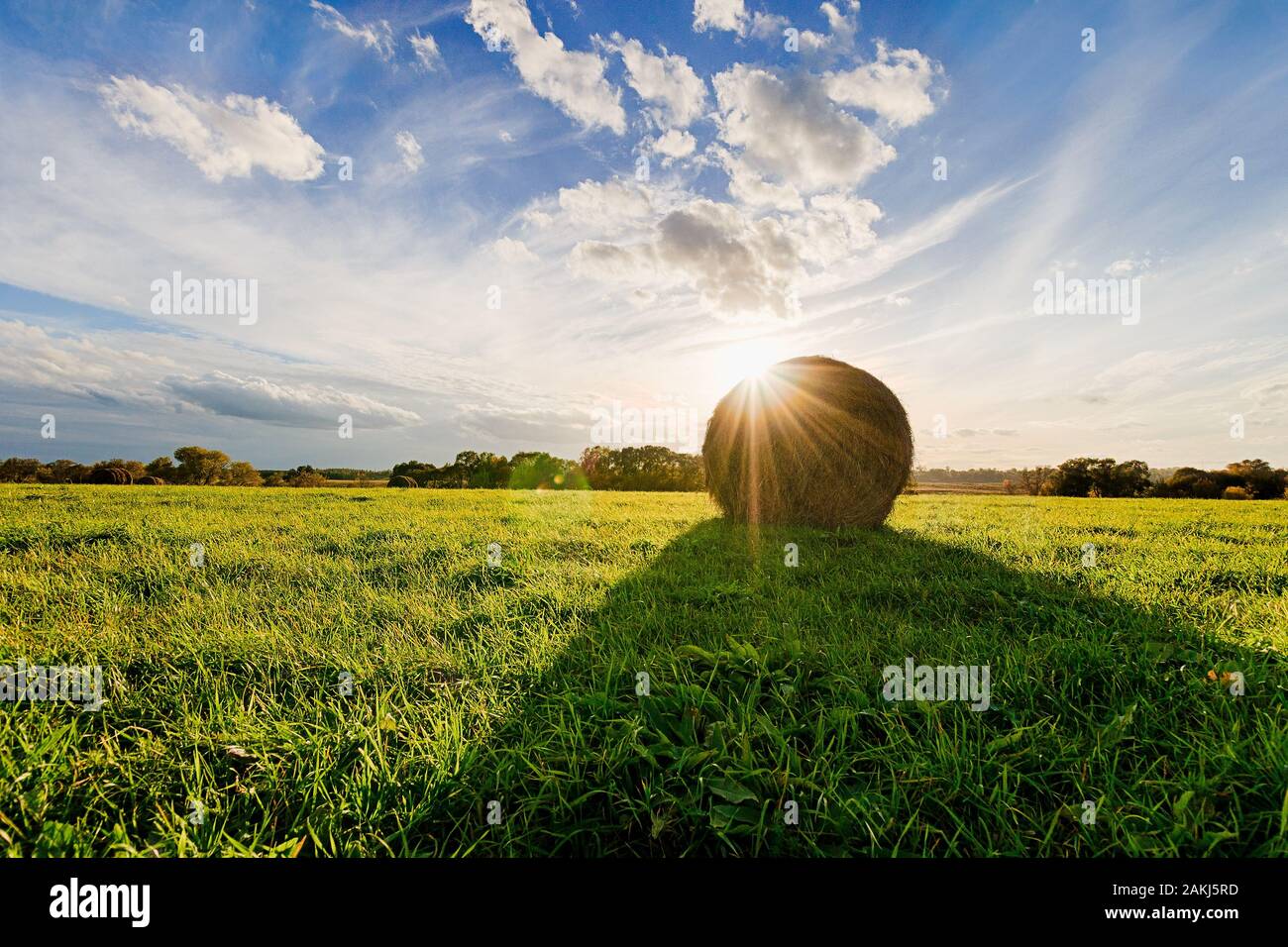 field with haystacks at sunset in early autumn evening Stock Photo - Alamy