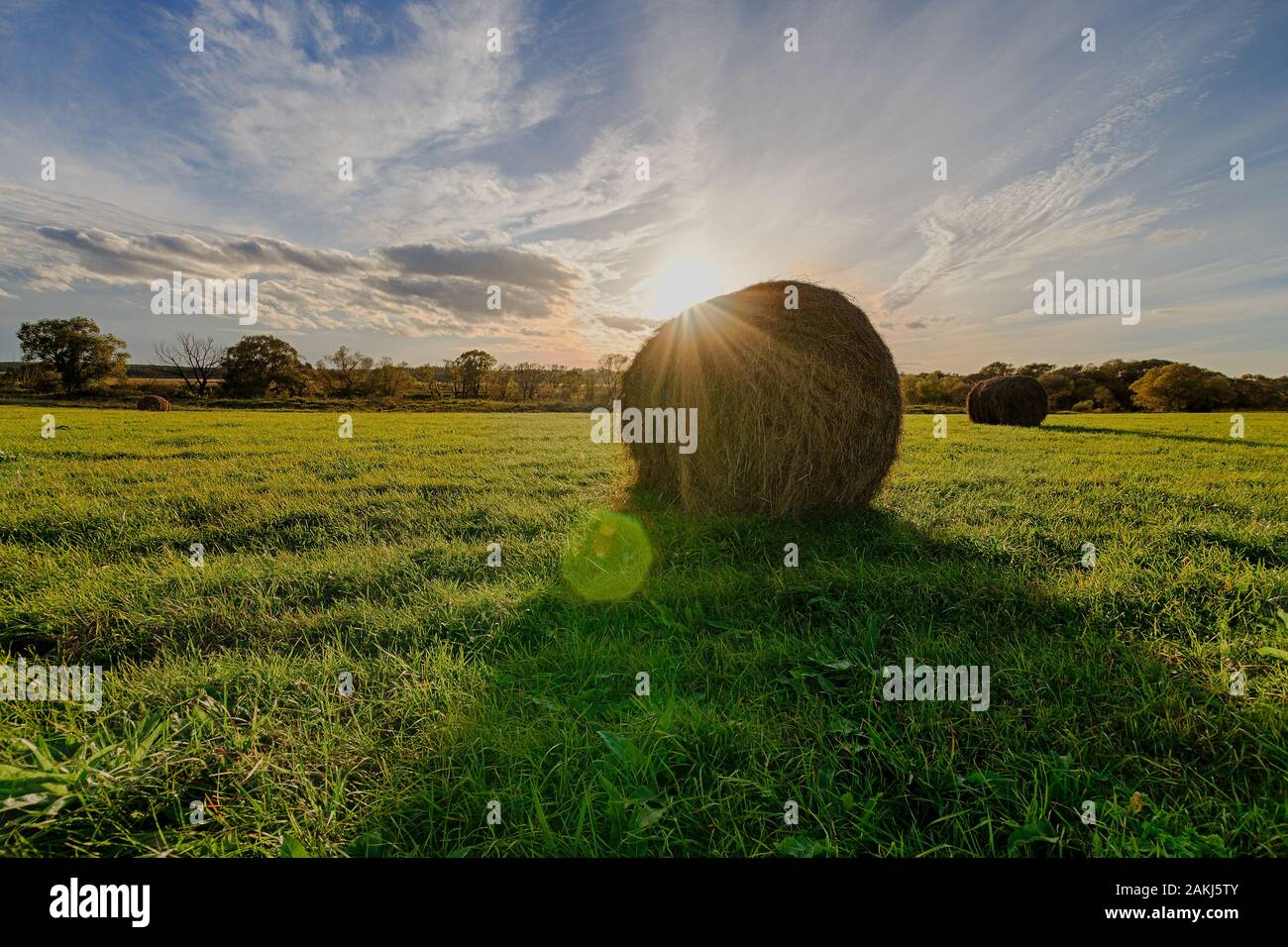 field with haystacks at sunset in early autumn evening Stock Photo - Alamy