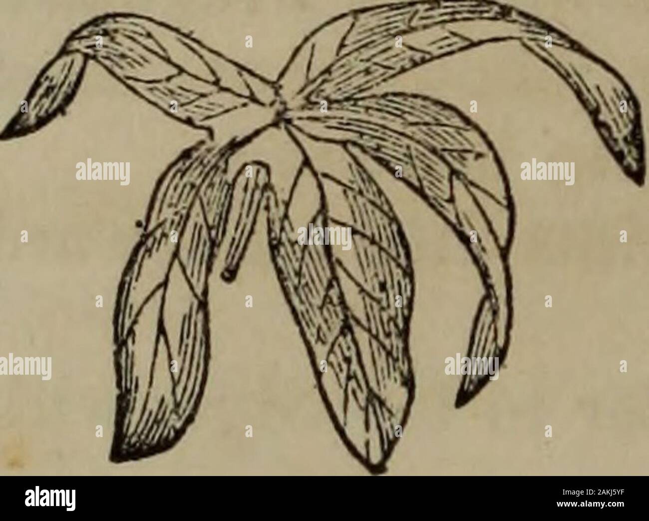 54 71 90 hi-res stock photography and images - Alamy