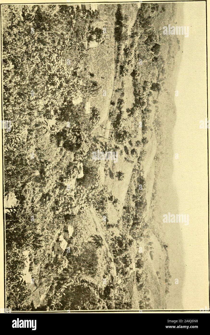 A recent campaign in Puerto Rico by the Independent Regular Brigade ...