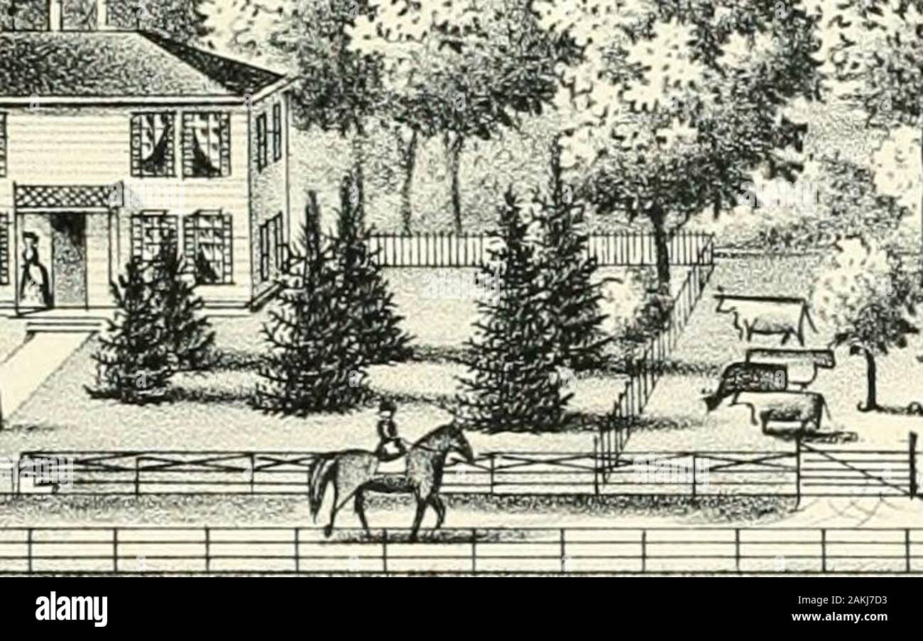 Minges hi-res stock photography and images - Alamy