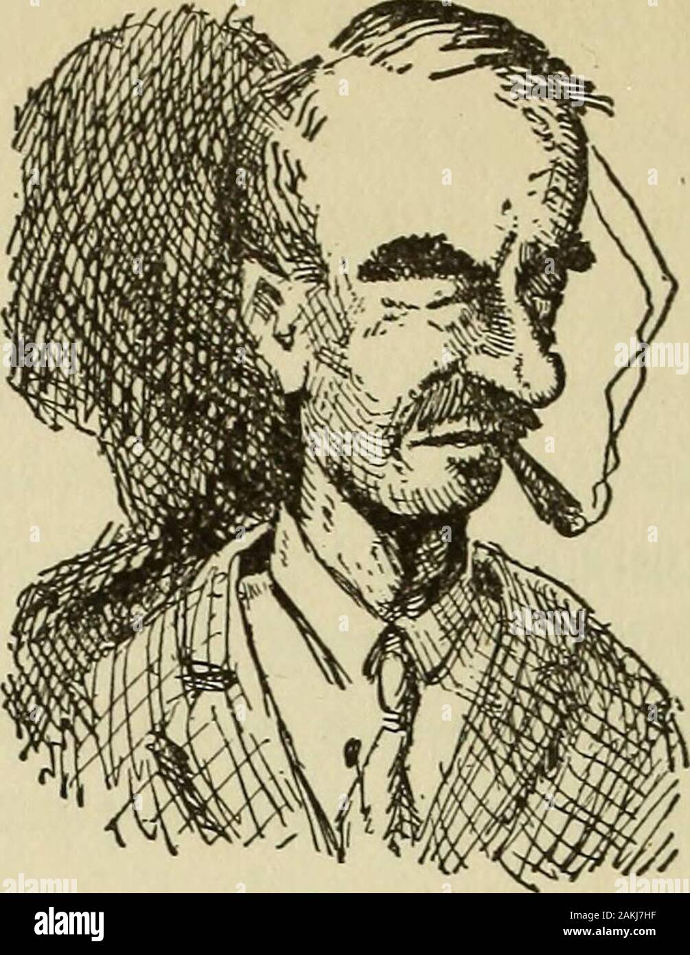 Cuspidate hi-res stock photography and images - Alamy