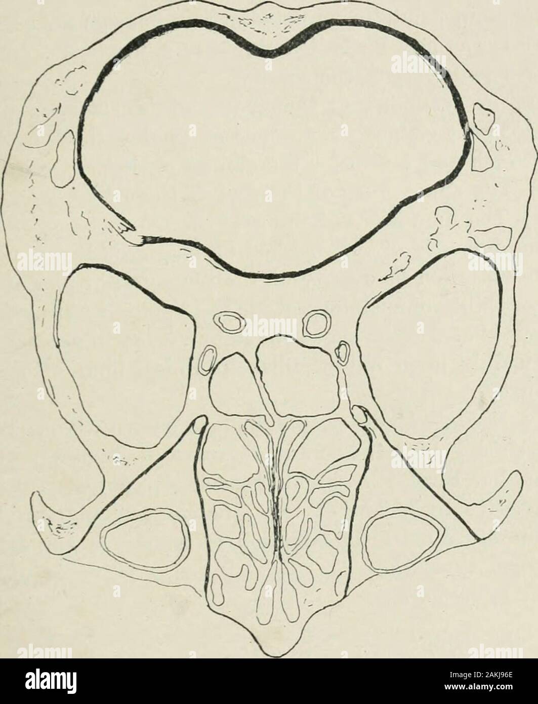 Novocaine hi-res stock photography and images - Alamy
