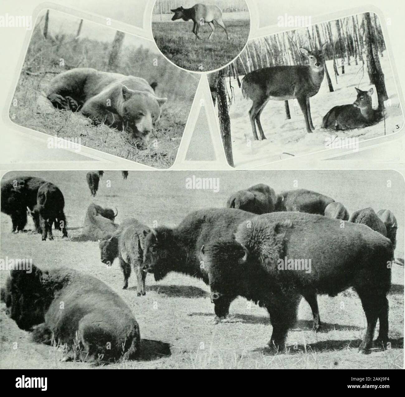 The Prairie Provinces of Canada : their history, people, commerce ...