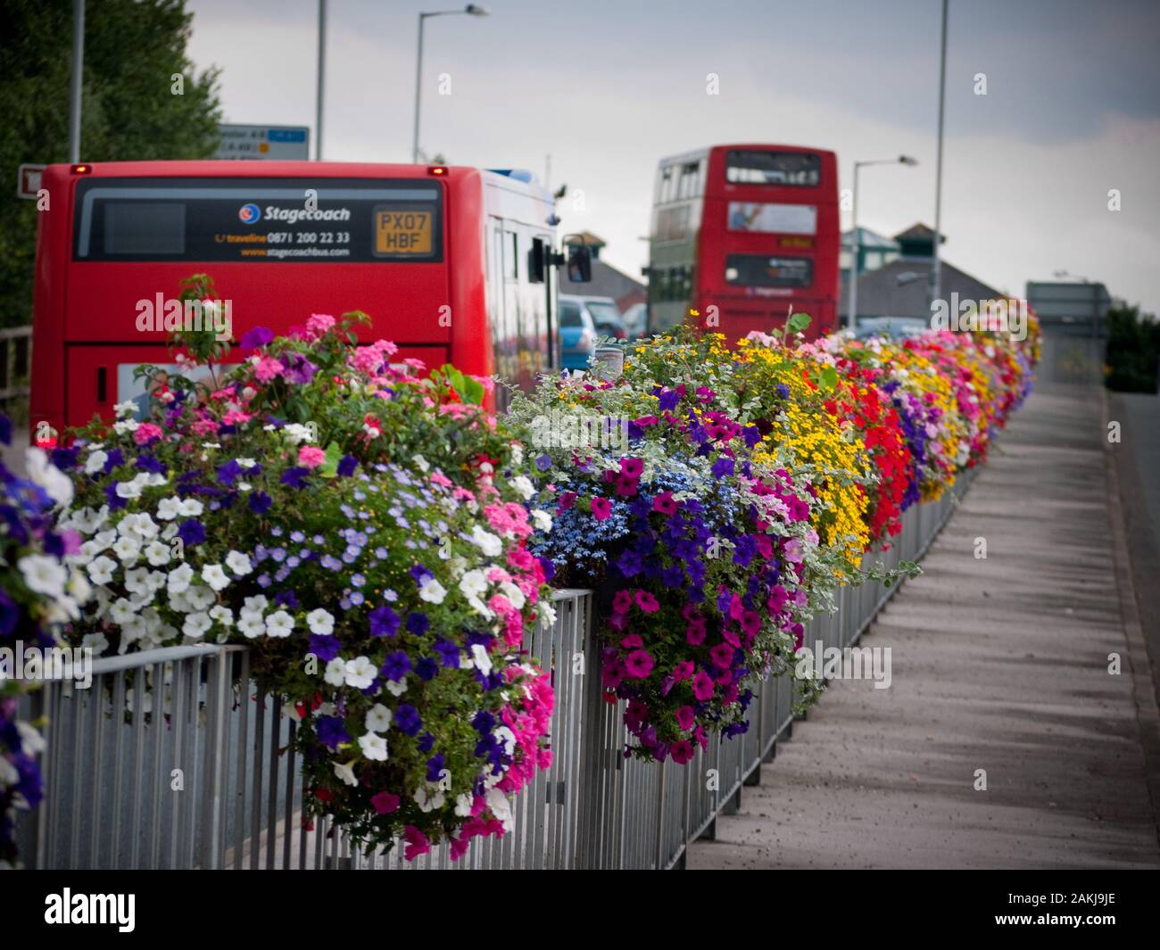Colourful flower baskets beside busy road with red double decker buses ...
