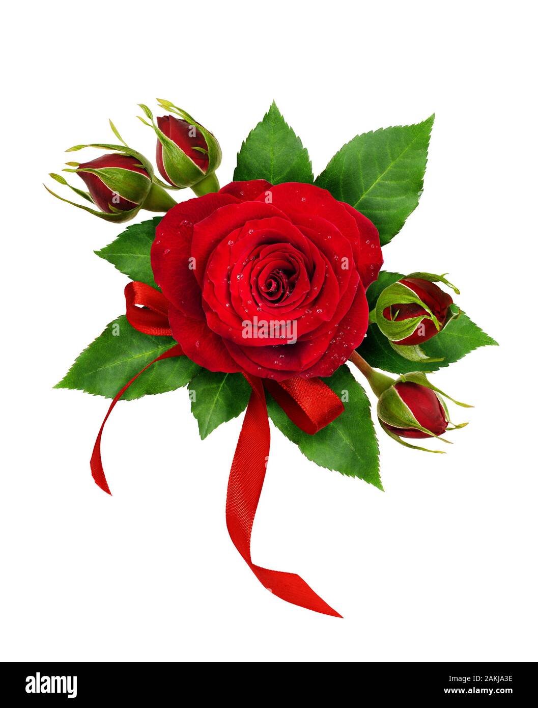 Festive arrangement with red rose flowers and silk ribbon bow isolated ...