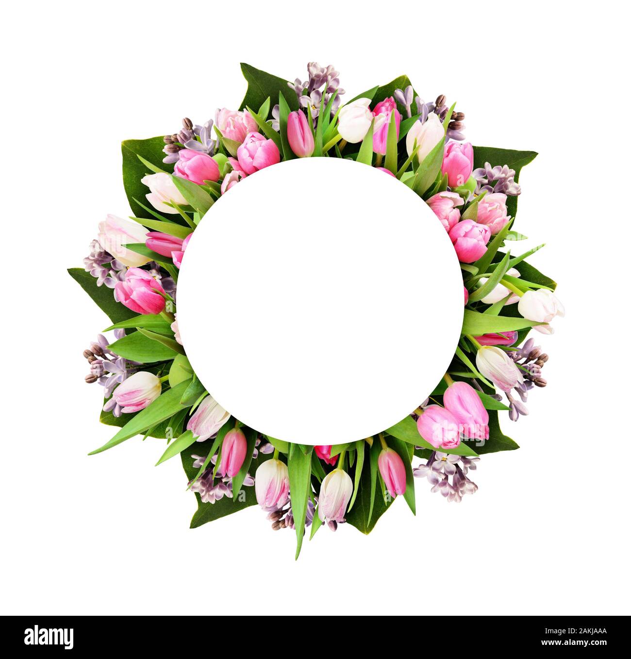 Pink tulips and lilac flowers in round frame with white circle for text ...
