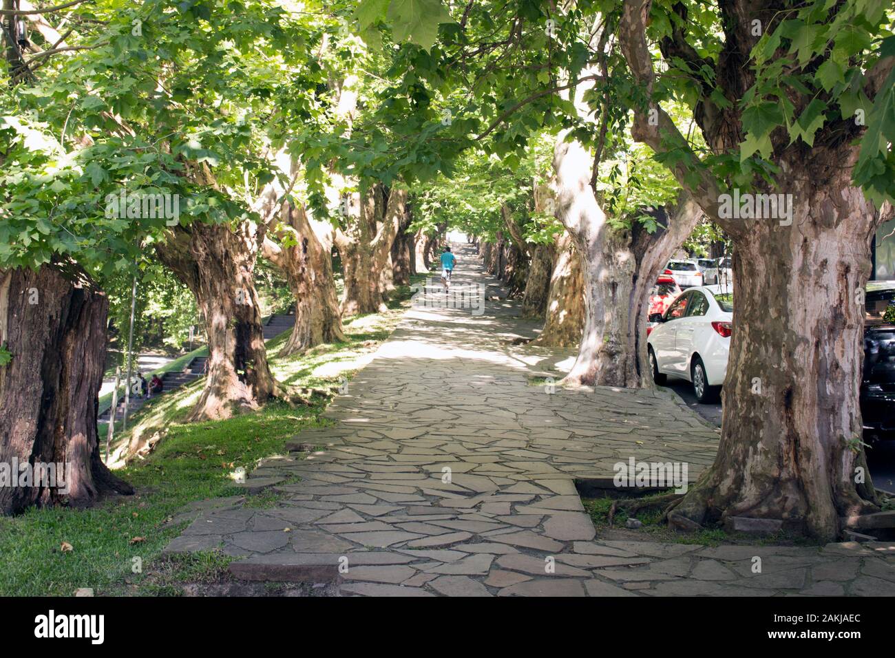 Urban park with trees, for use by the population for leisure, jogging ...